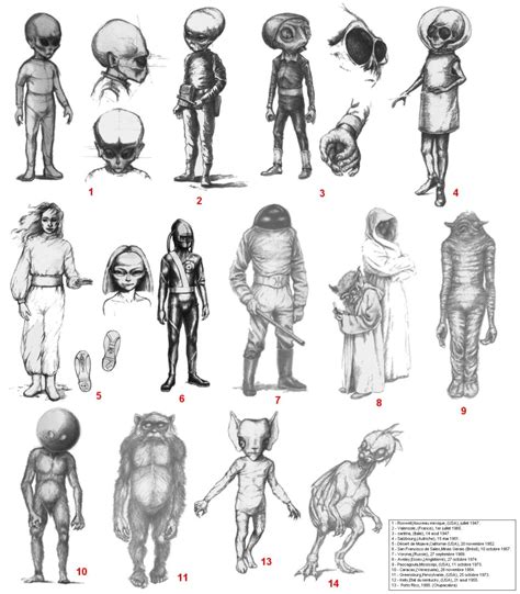 Real Types Of Aliens