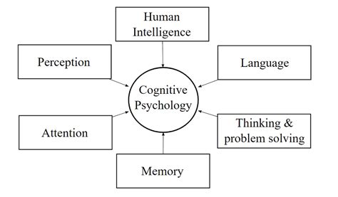 Cognitive Psychology