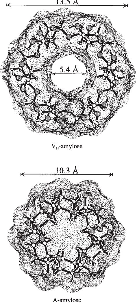 Amylose Structure Helix
