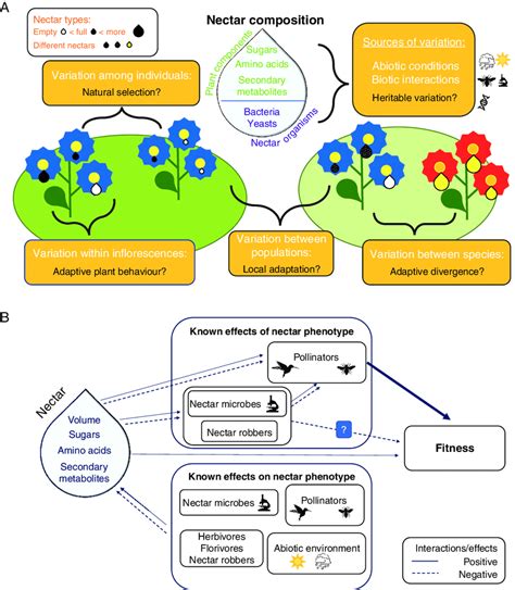 Nectar Bss Saatgut Postkarte Zum Verschicken Tomate Nectar