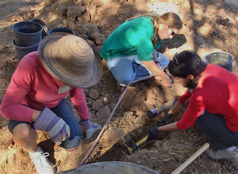 Greywater Line From A Garden Sink Is Installed And An Irri… Flickr