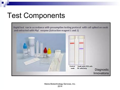 Streptococcus Equi Field Trial Data Ppt