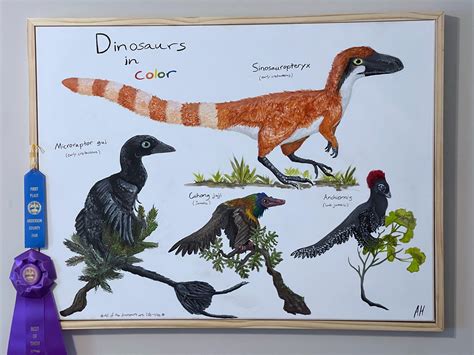 Sinosauropteryx Microraptor Gui Caihong Juji Anchiornis Dinosaurs