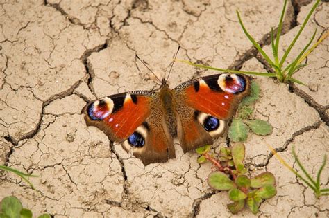 publish subscribe introduction to scalable messaging the new stack