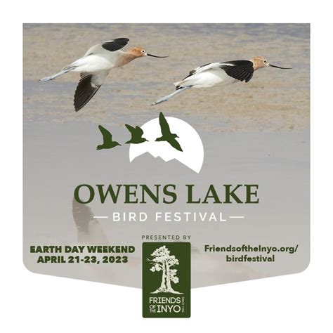 Friends Of The Inyos Owens Lake Bird Festival Returns April 21 23