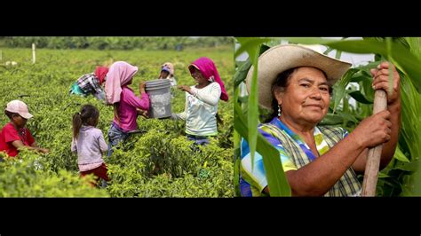 Diversidad Biocultural Original 🎙 Youtube