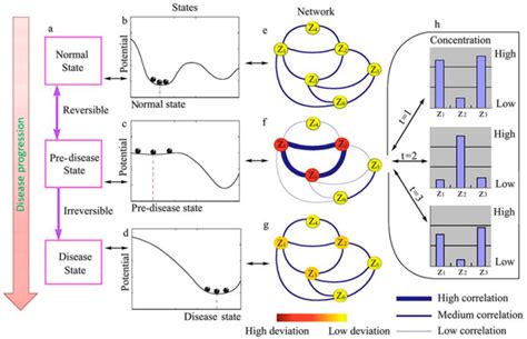 Schematic Illustration Of The Dynamical Features Of Disease Progression