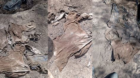 Localizan Osamenta En Predio De Pótam Medios Obson