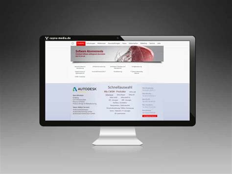 Cwsm Gmbh Cayou Media