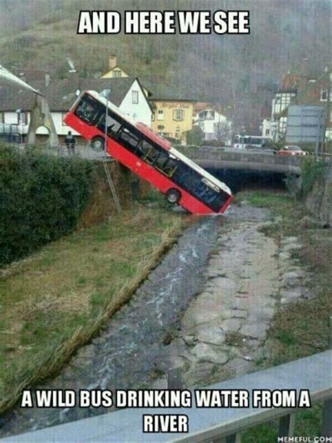 Funny Driving And Traffic Pics That You Cant Miss