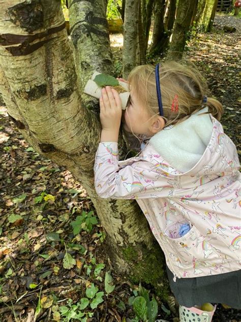 Introduction To Forest School Level 1 Open College Network Ni