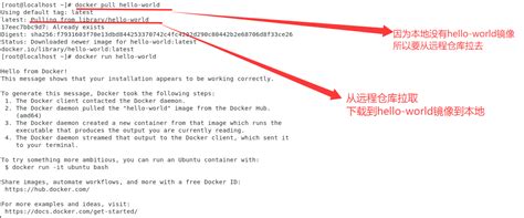Docker首个容器实战helloworld Dotcpp编程