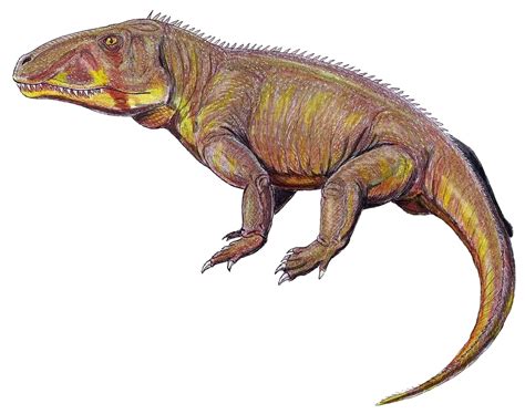 A Mesozoic Field Guide The Erythrosuchids