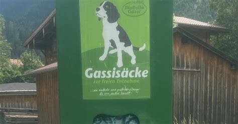 Hunde Gassi Station Benglerwald Bach Startseite Bürgerservice