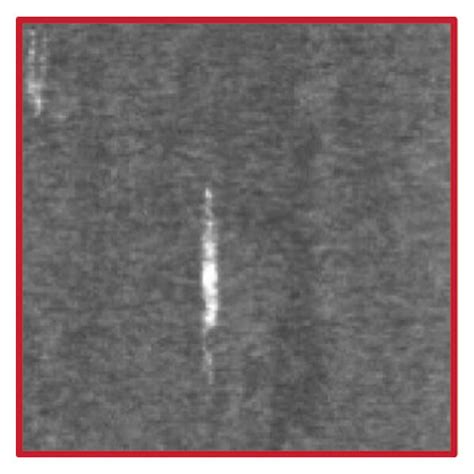 Types Of Defects In The Collected Data Set A White Iron Scale B