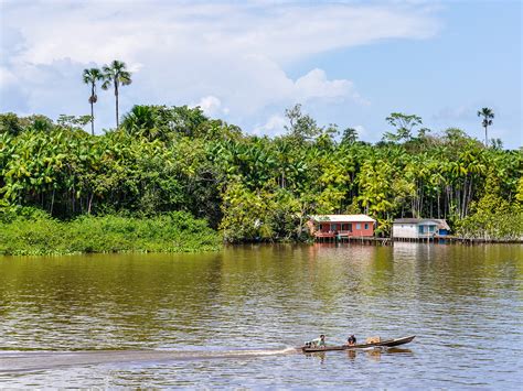 Best Guided Tours To The Amazon Rainforest Peru 2025 2026