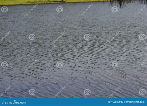 The Surface Of Rippling Blue Water With Leaves And Grass Visible Stock