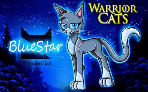 Warrior Cats Bluestar By Mlptmntdisneykauane On Deviantart