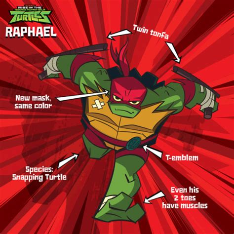 Raphael Rise Of The Tmntgallery Tmntpedia Fandom