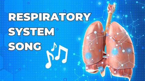 The Respiratory System Song Fun Biology Music Youtube