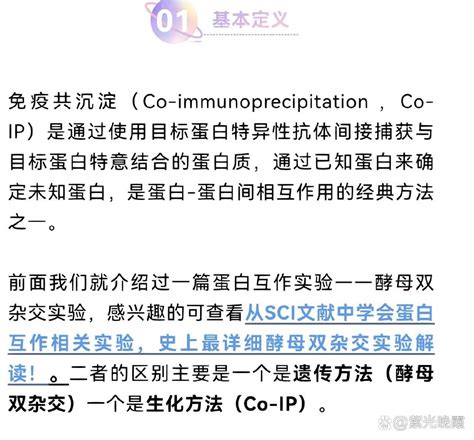 轻松搞定免疫共沉淀co Ip图片图解