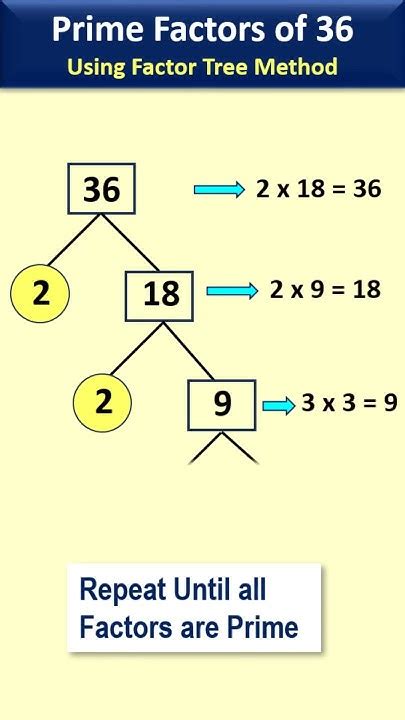 Factor Tree Of 36 How To Draw Factor Tree Of 36 Find Factor Tree Of