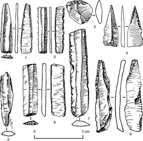Microlithic Flakes And Tools From Chikhen Agui From Derevianko Et Al