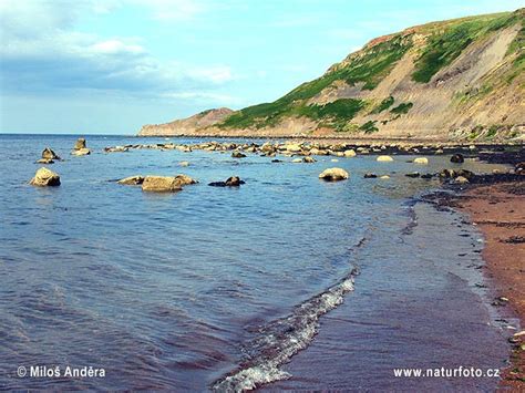 National Park North York Moors Photos National Park North York Moors