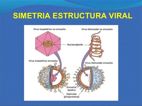 Virologia