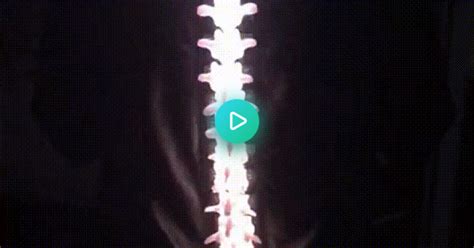 Strobe Led Spine Jacket  On Imgur