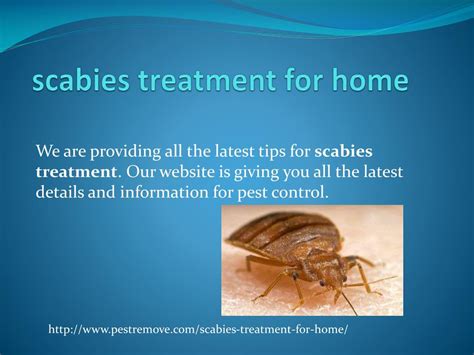 Ppt Scabies Treatment For Home Powerpoint Presentation Free Download