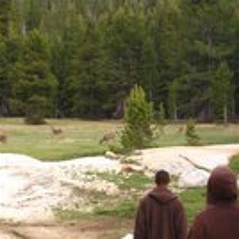 Stream We Are Free By Zep Hurme By Reginald Chapple Listen Online For Free On Soundcloud