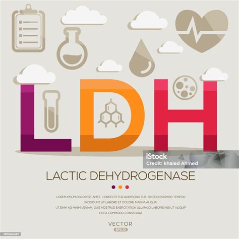 Ldh Lactic Dehydrogenase Stock Illustration Download Image Now Acid