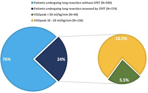 Patients Undergoing Lung Resection For Pulmonary Nodules During The