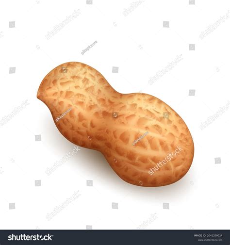 Peanut Nut Shell Vitamin Natural Snack Stock Vector Royalty Free