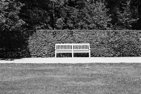 White And Black Color Picture Of Wooden Bench In The English British