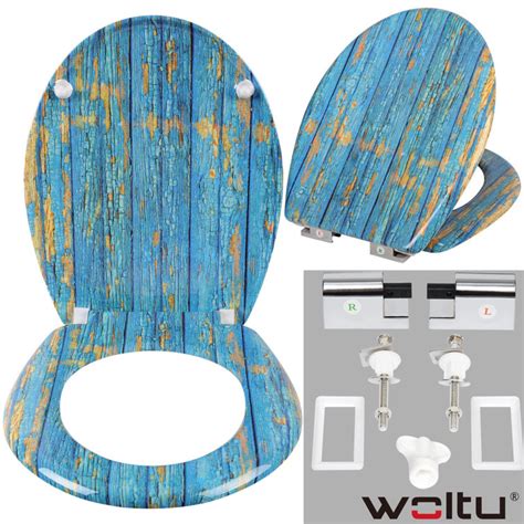 East Urban Home Dejay Soft Close Elongated Standard Toilet Seat