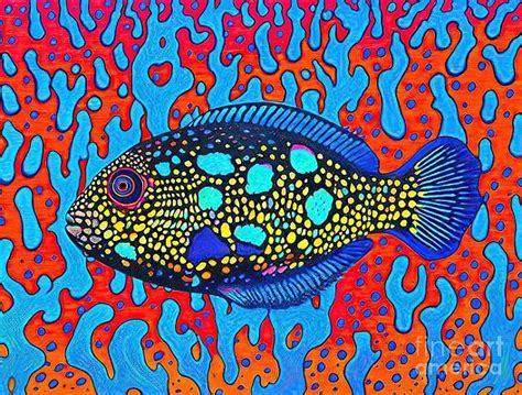 Triggerfish Art For Sale Fine Art America