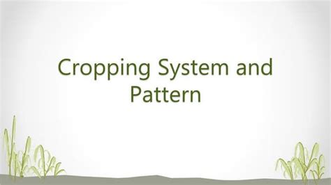 Multiple Cropping Systems Pptx Agriculture Industries