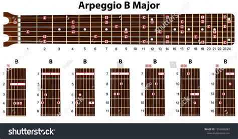 Arpeggios B Major Set Vector Guitar เวกเตอร์สต็อก ปลอดค่าลิขสิทธิ์