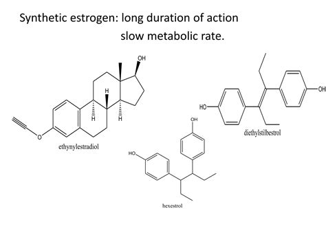Estrogen Pptx