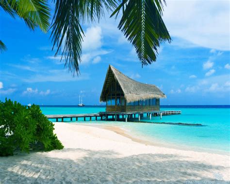 🔥 [50 ] Bahamas Beaches Wallpapers Wallpapersafari