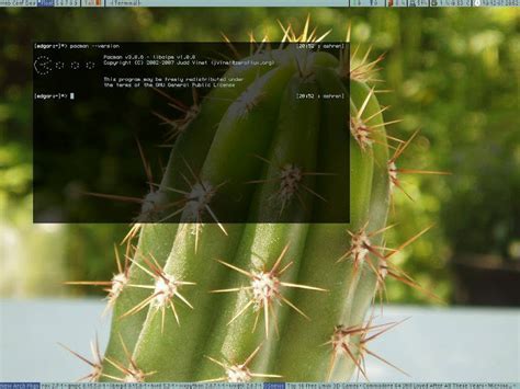 Xmonad Unottimo Tiling Window Manager Per Linux Linux Freedom