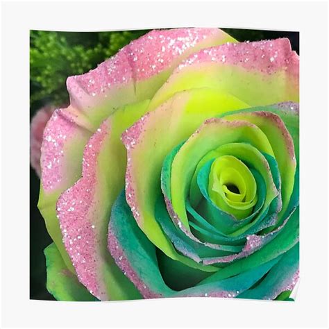 Pride Lgbtqia Rainbow Colored Sparkly Roses Macro Photo Poster For