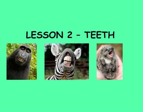 Teeth Lesson 2 Read Onlypptx