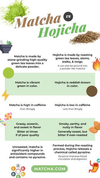 Hojicha Vs Matcha Understanding The Key Differences
