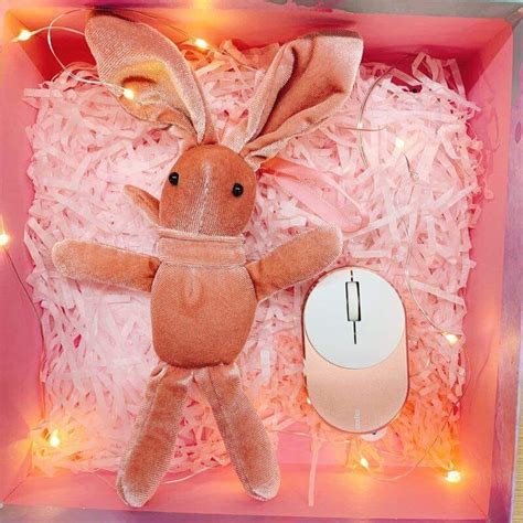 Rapoo Philippines Home Facebook