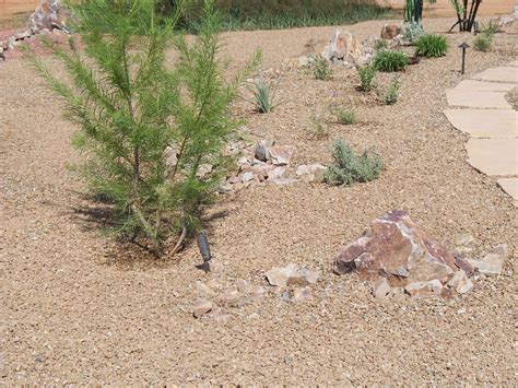 Grasshopper Landscaping And Maintenance Beautiful