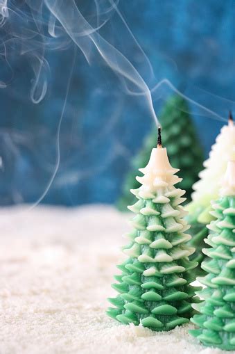 Closeup Image Of Christmas Fir Tree Forest Scene Group Of Snuffed Out