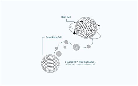 Improving Skin Health With Exosome Treatment What You Need To Know